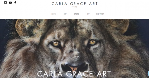 Wix Website Examples - WebsiteBuilderGuide